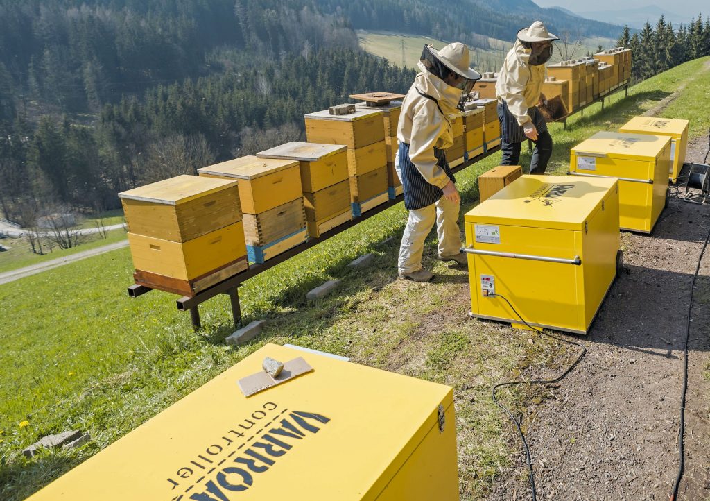 Annual Treatment Plan - Varroa Controller